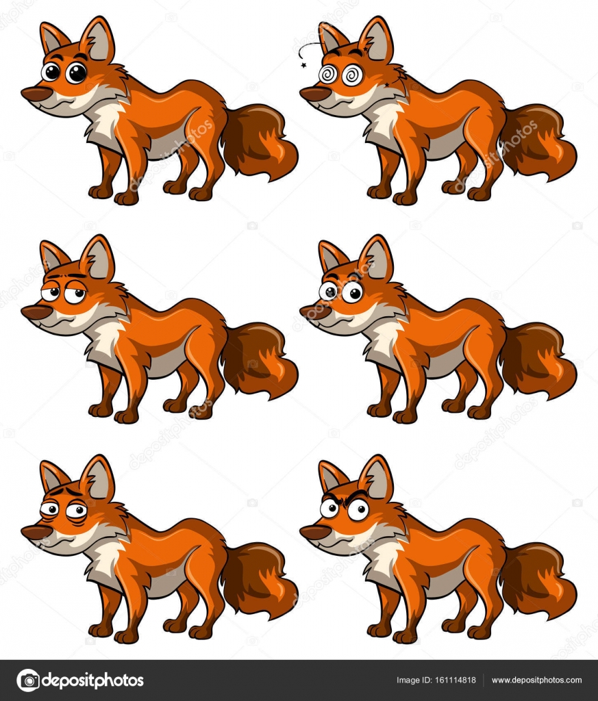 Fox with different facial expressions Stock Vector by ©brgfx 161114818 Fox with different facial expressions Stock Vector by ©brgfx 161114818
