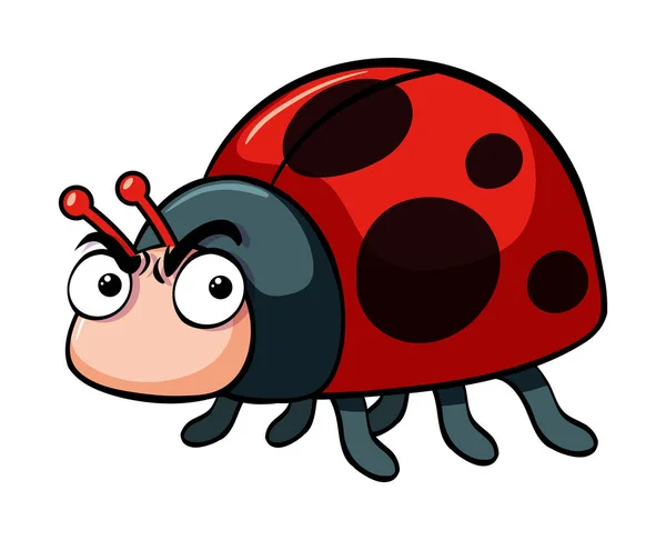 Ladybug on white background Stock Vector Image by ©brgfx #162862774