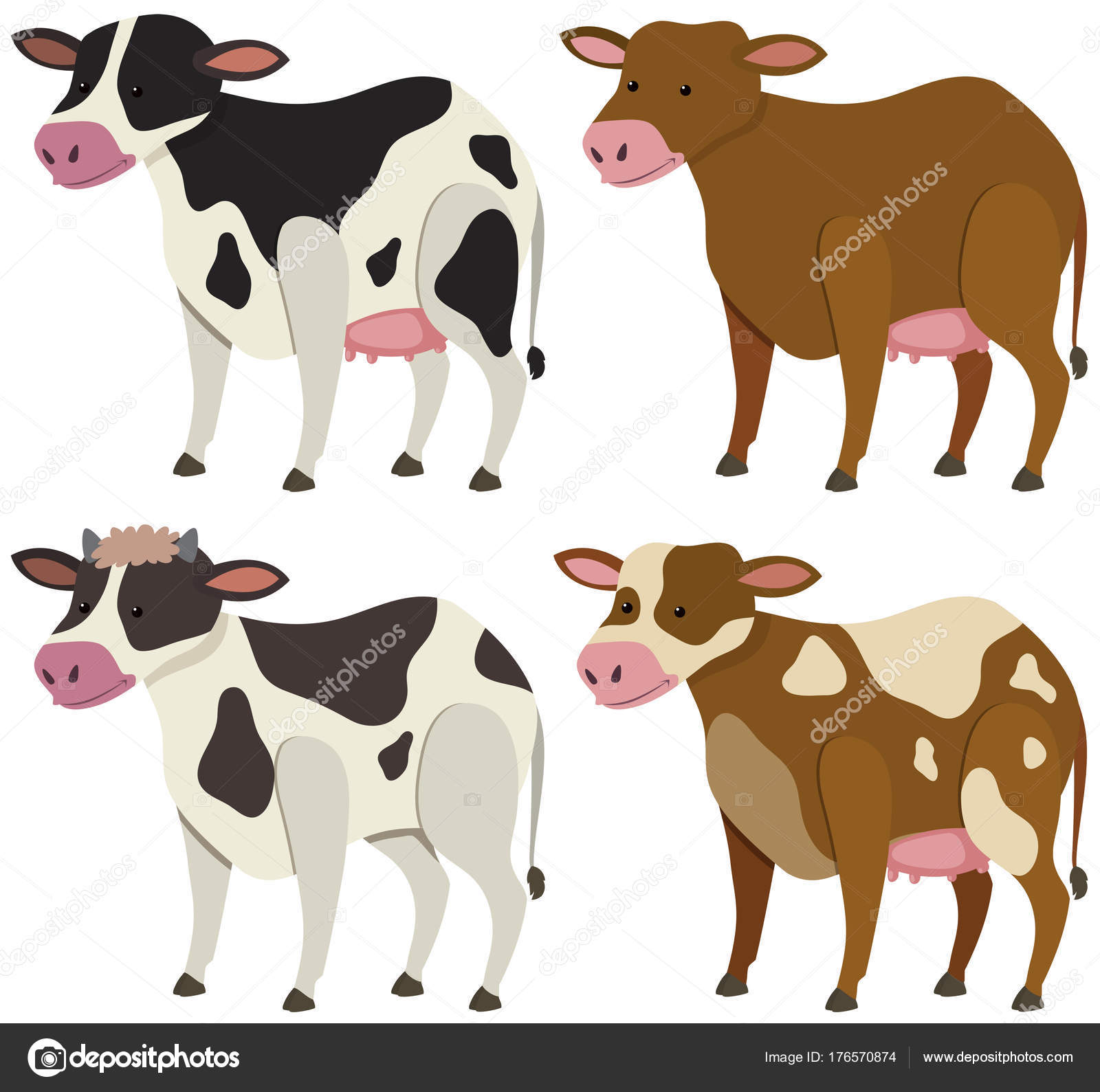 Four cows with different skin colors Stock Vector by ©brgfx 176570874