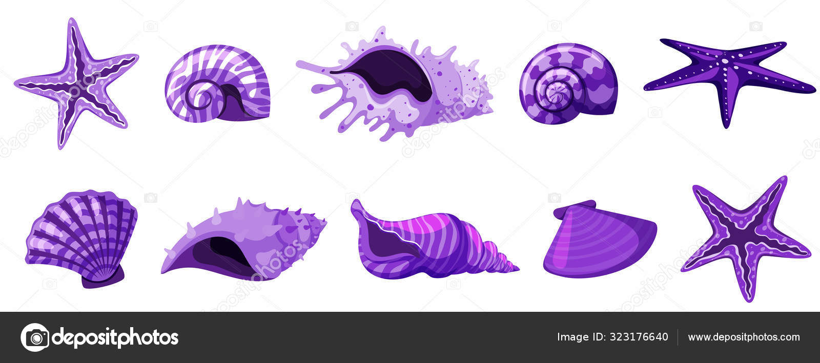 Set of isolated seashells in purple color Stock Vector Image by ©brgfx ...