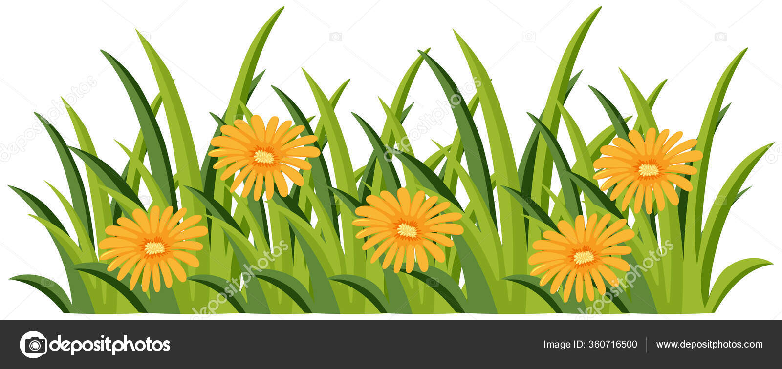 Yellow Flowers Bush White Background Illustration Stock Vector by ...