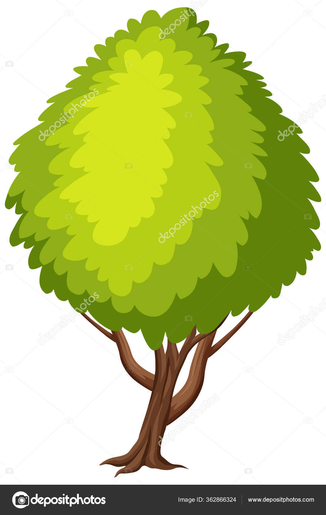 One Big Tree White Background Illustration Stock Vector by ©brgfx 362866324