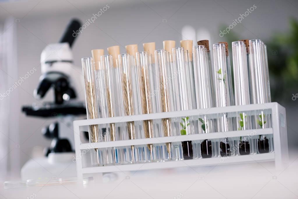 Herramientas científicas en el laboratorio 2022