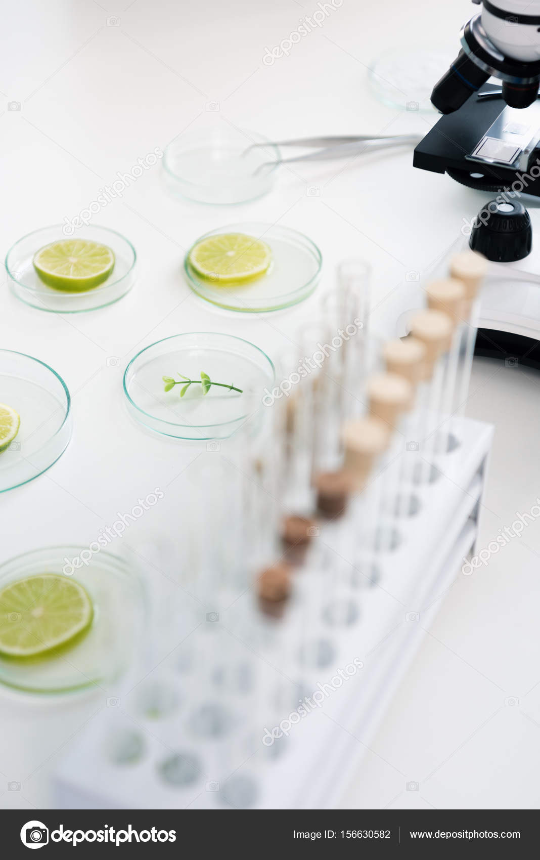 Scientific tools at laboratory — Stock Photo © ArturVerkhovetskiy ...