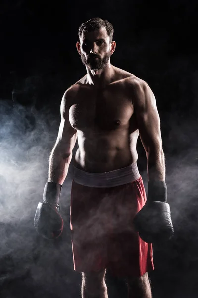 Boxer Stock Photos, Royalty Free Boxer Images | Depositphotos