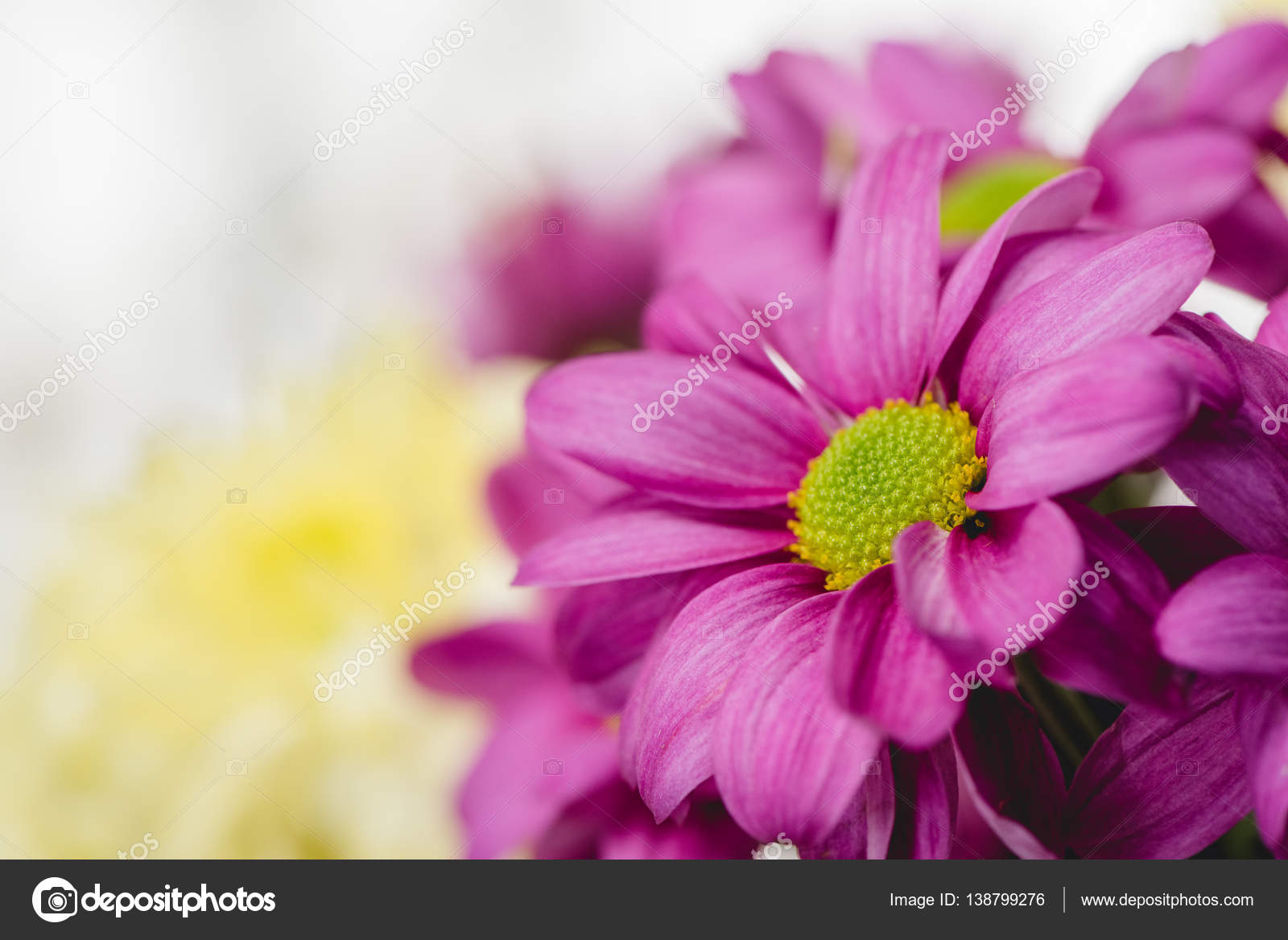 Purple fresh flowers — Stock Photo © DmitryPoch #138799276