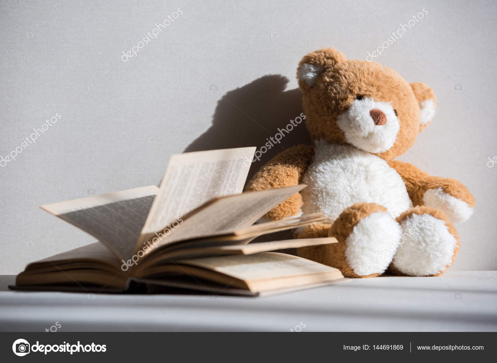 Teddy bear and book — Stock Photo © DmitryPoch #144691869