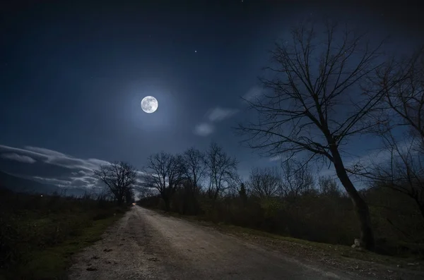 Mountain Road through the forest on a full moon night. Scenic night ...