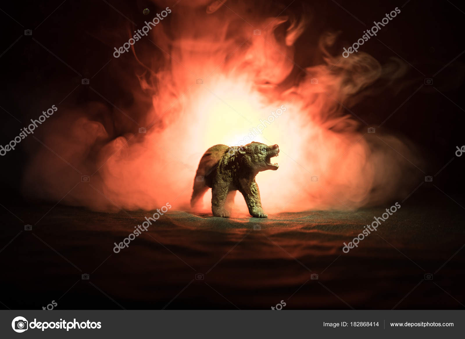 Angry bear behind the fire cloudy sky. The silhouette of a bear in ...