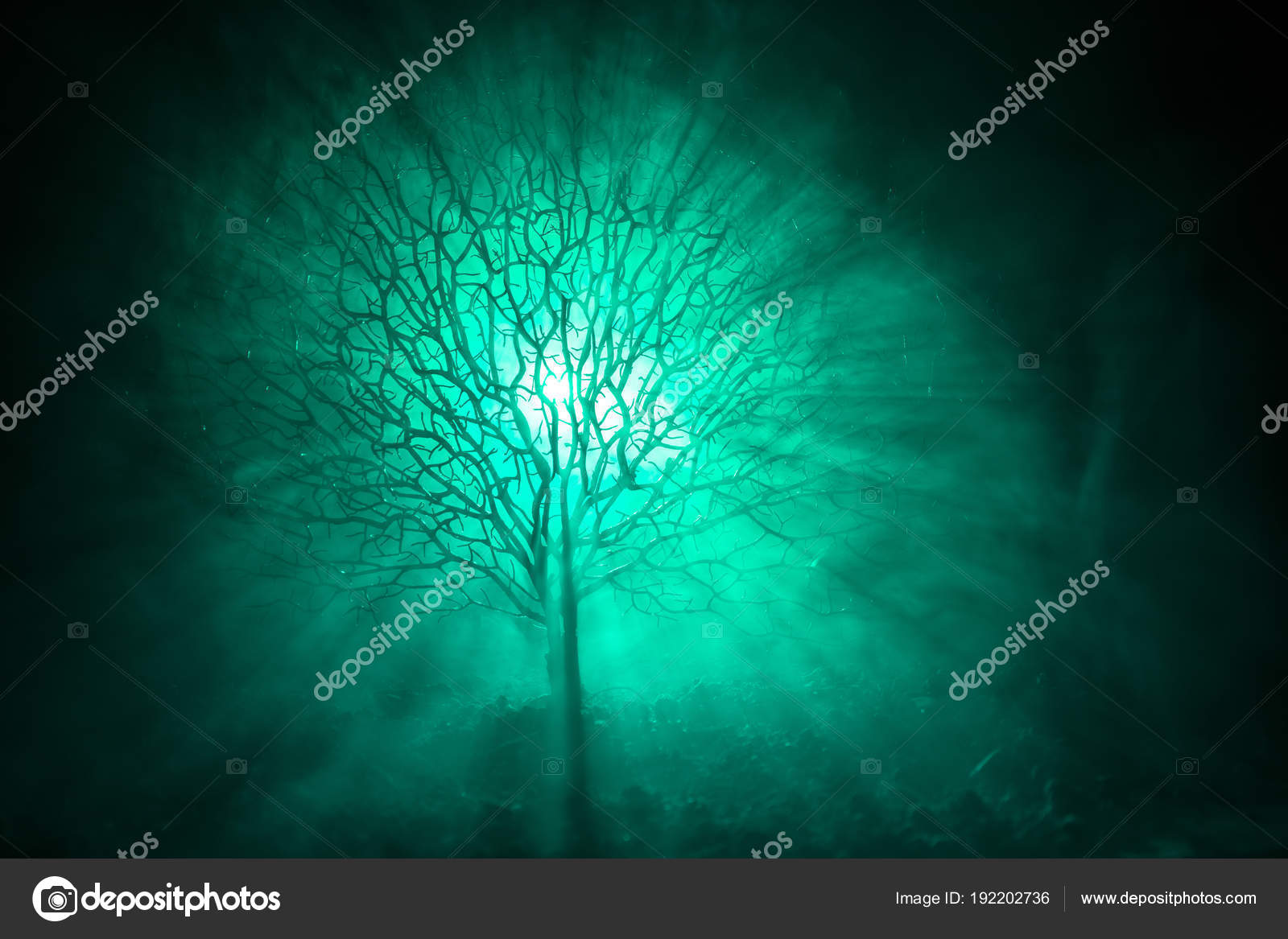 Silhouette of scary Halloween tree with horror face on dark foggy toned ...