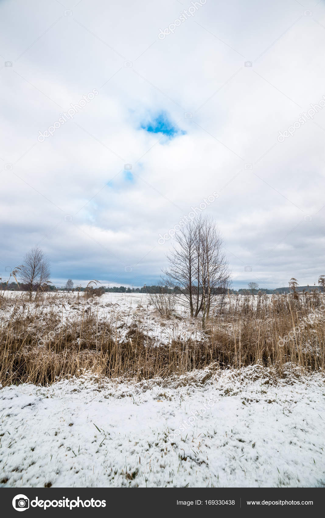 Late Winter Early Spring