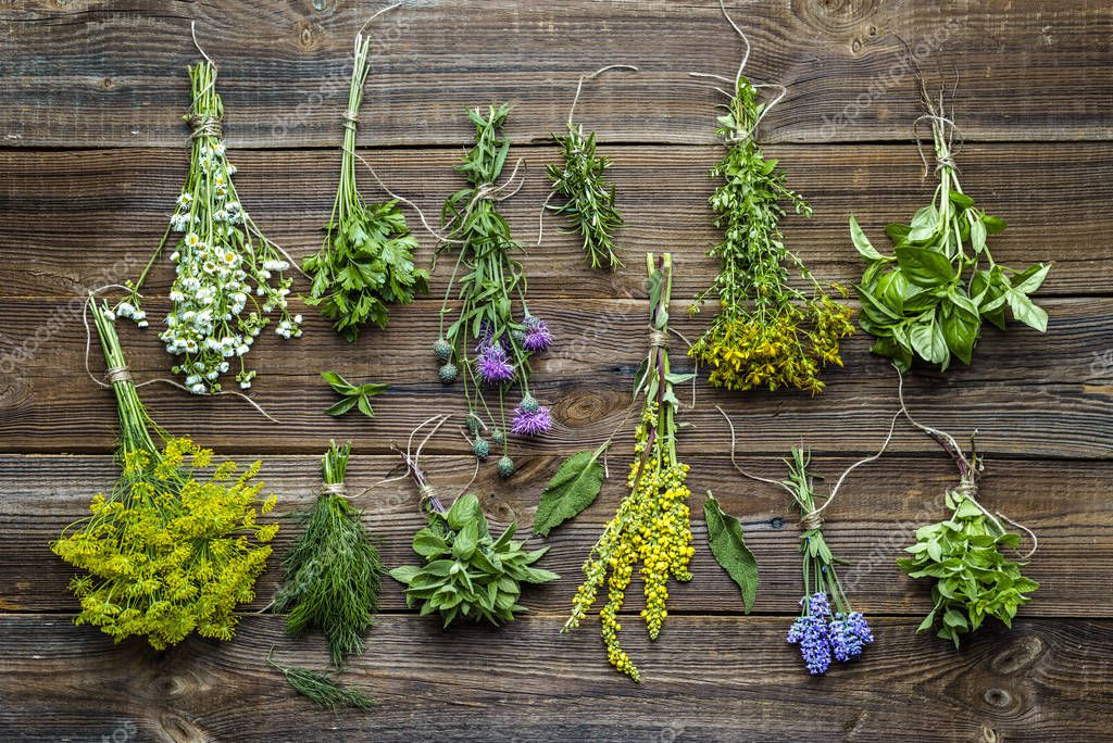 Diferentes hierbas del jardín en la mesa de madera. Hierba fresca sobre ...