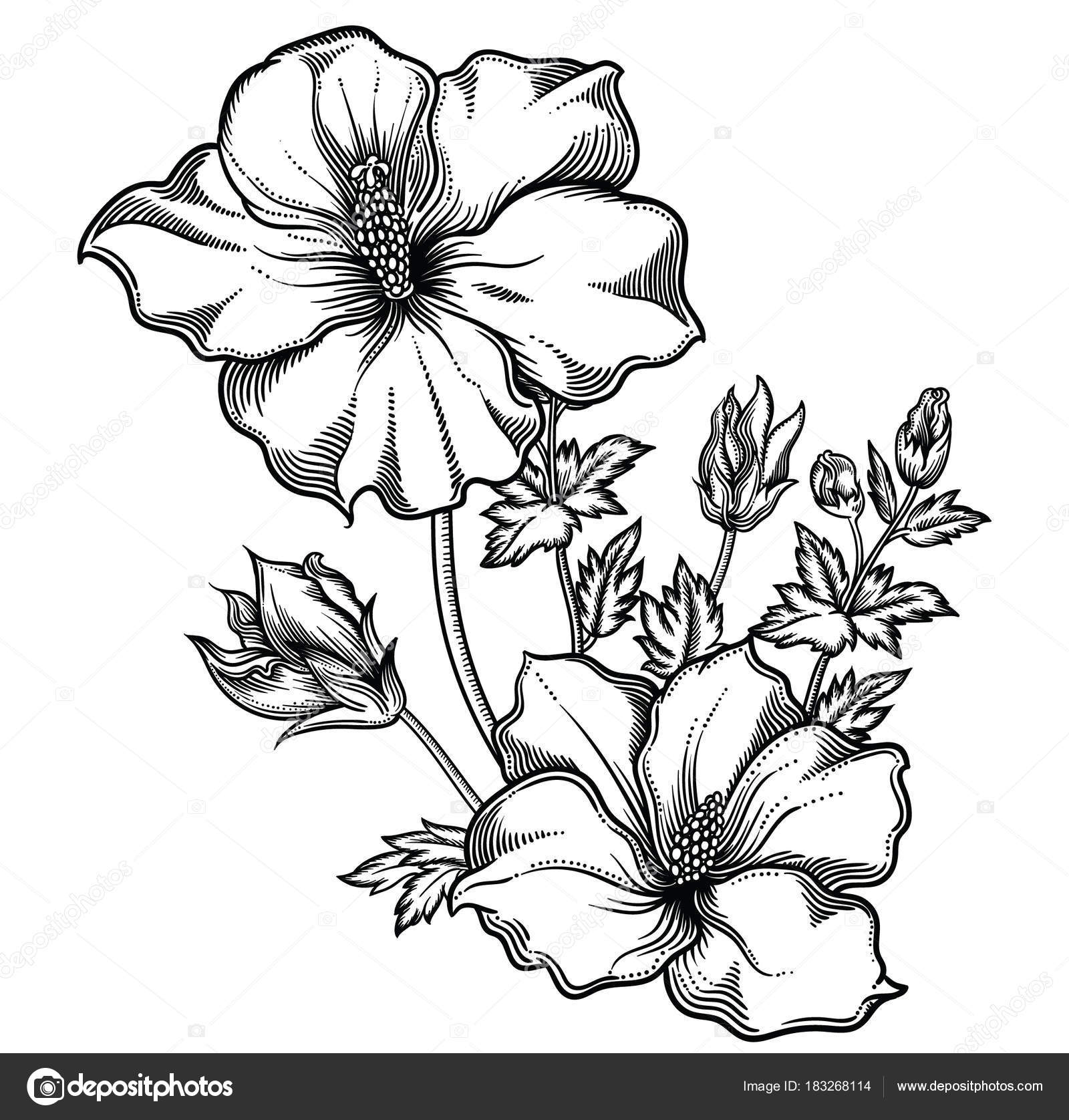 Intricate Flower Drawings