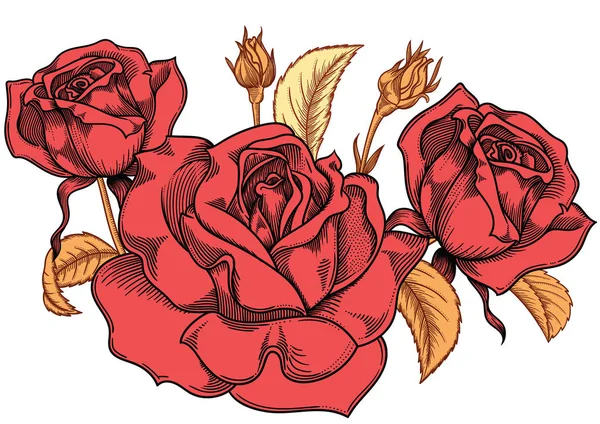 Tumblr Roser Tegning Sommerfugle Og Roser Tegninger Til Print