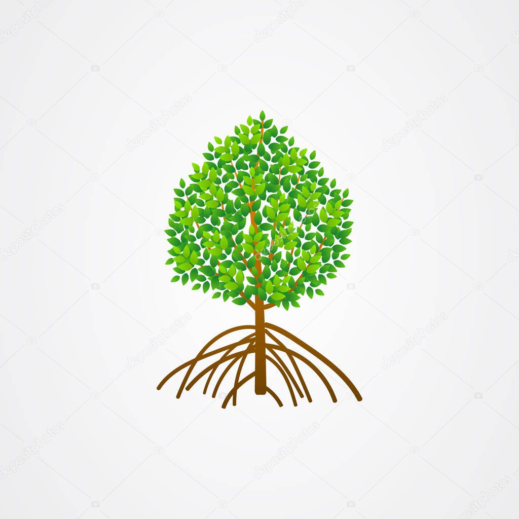 Árbol y raíces vector, árbol de manglar ilustración, planta de manglar 2022
