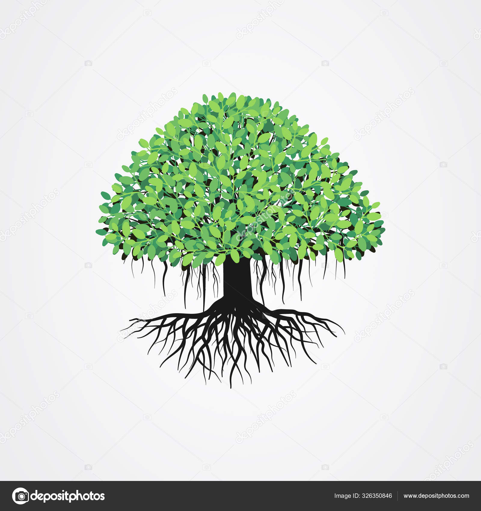 Banyan Tree Animated