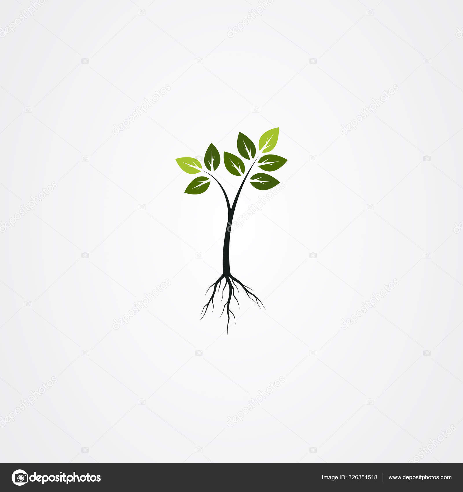 Tree with the roots, green spring tree vector illustration. Stock ...
