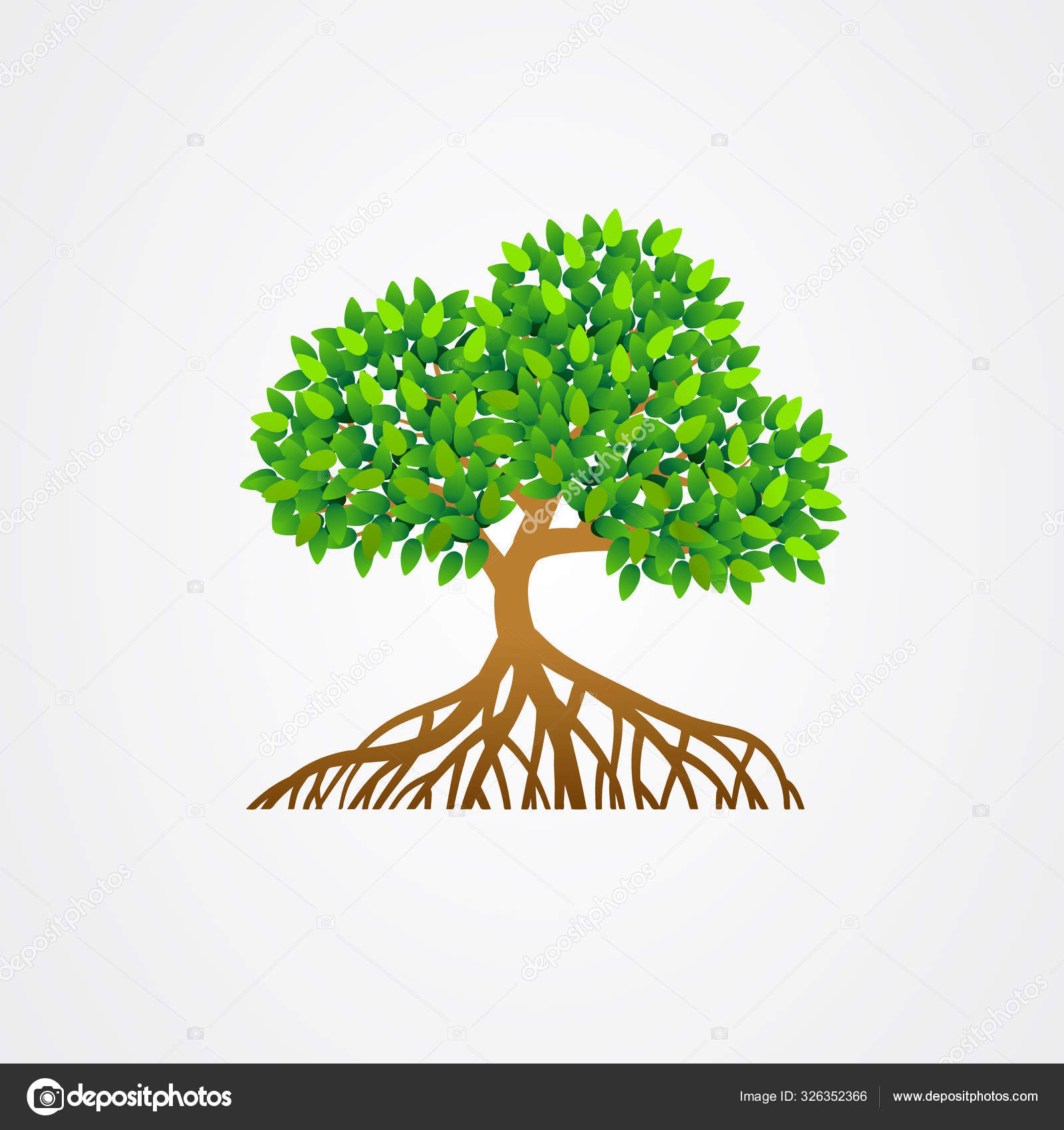 Pohon bakau dengan ilustrasi vektor akar dan daun hijau . Vektor Stok ...