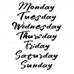 Vector Hand Lettering Alphabet Calligraphy Font Letters White ...